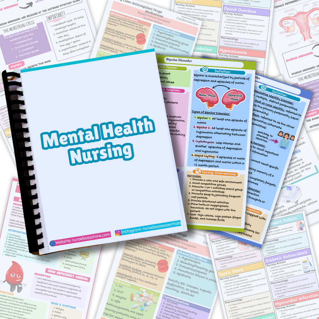 Mental Health Nursing Guide (Digital-PDF ONLY) – nursebossstore