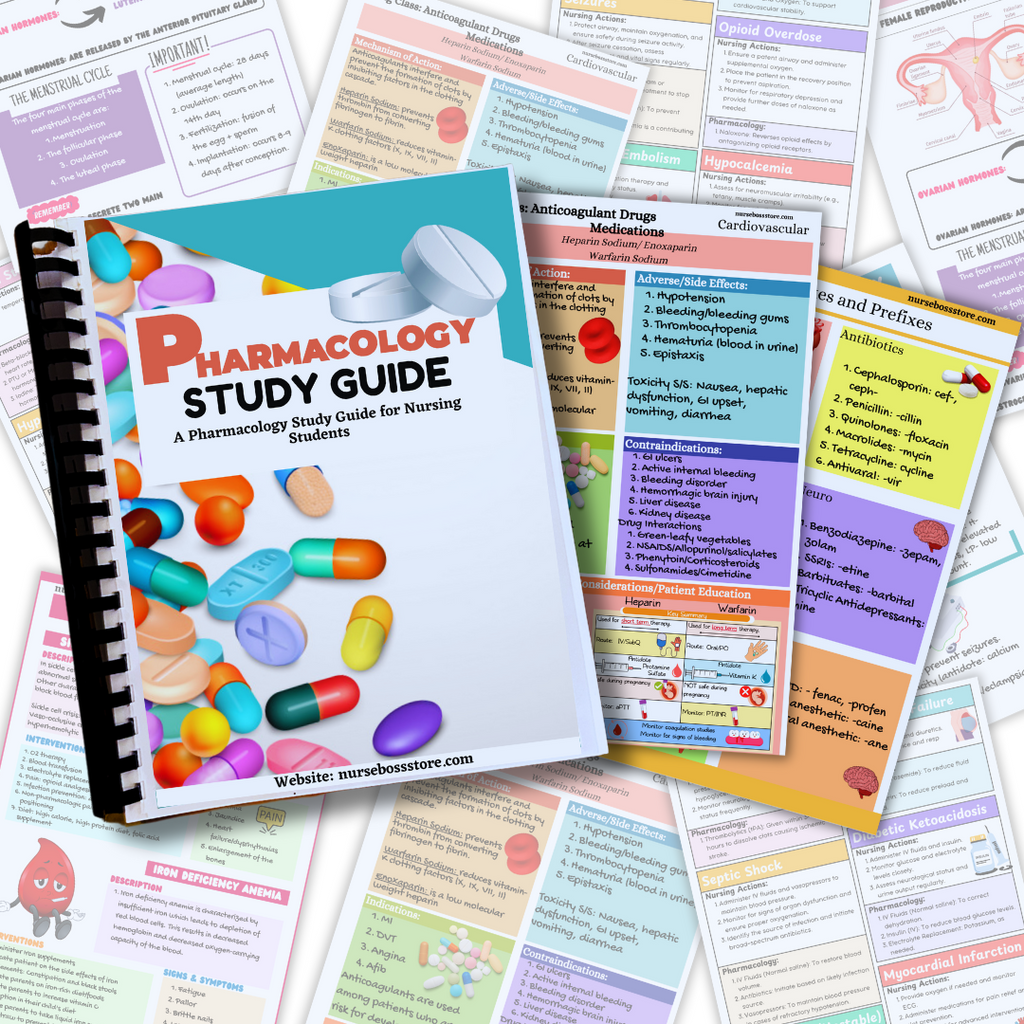 Pharmacology Nursing Study Guide (Digital-PDF) – nursebossstore