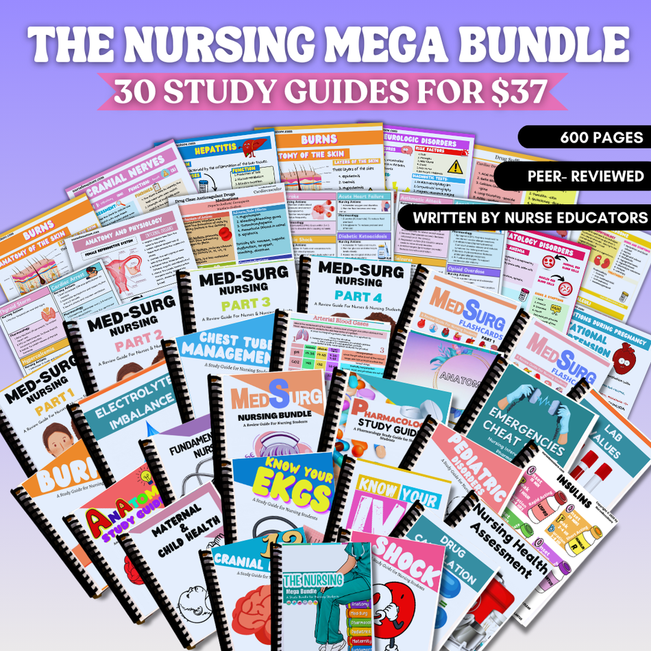 NURSING MEGA BUNDLE (Digital-PDF) – nursebossstore