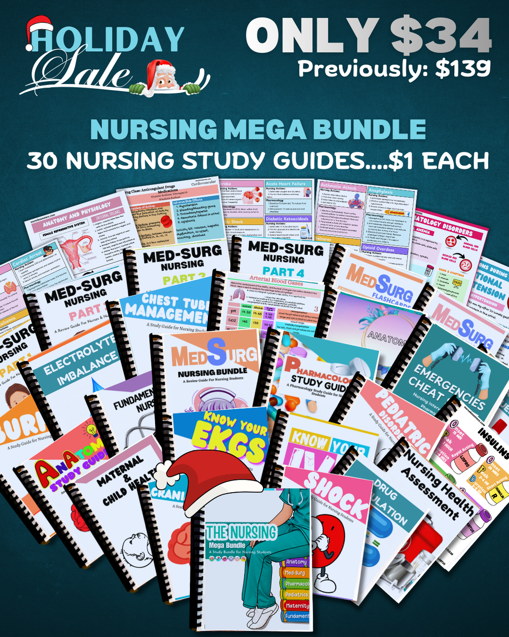 NURSING MEGA BUNDLE (Digital-PDF) – nursebossstore