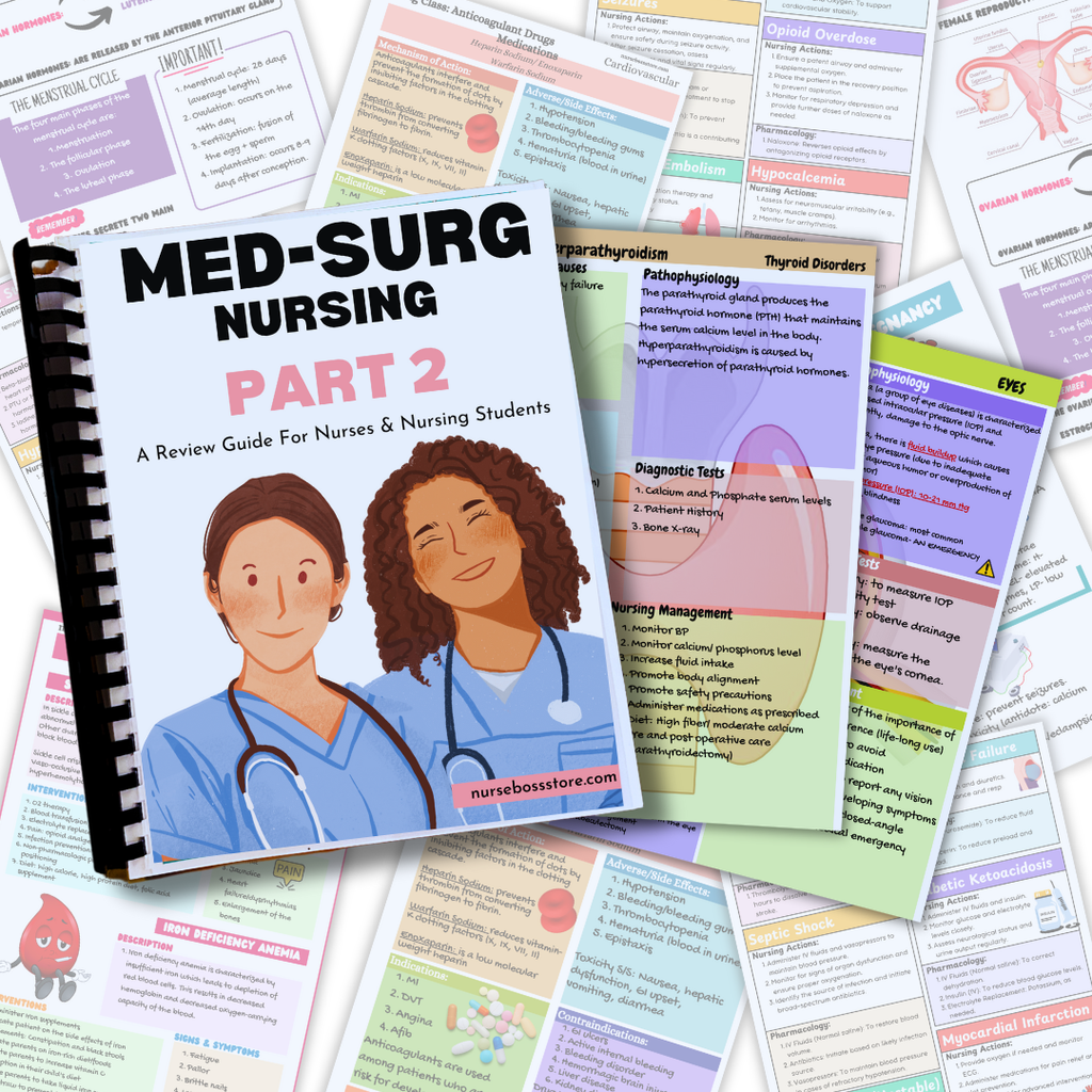 Med-Surg PART 2 Study Guide (Digital-PDF) – nursebossstore