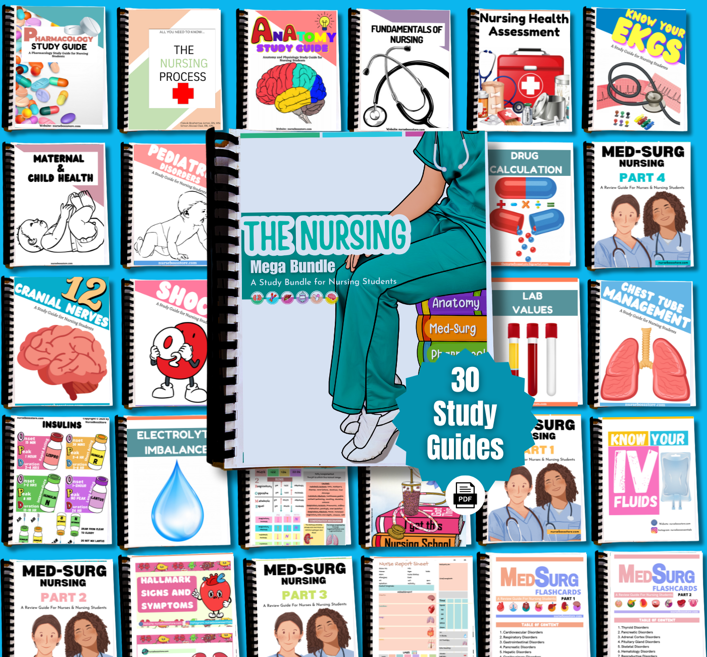 Mega Nursing Bundle-All Study Guides (Digital-PDF Files ONLY ...