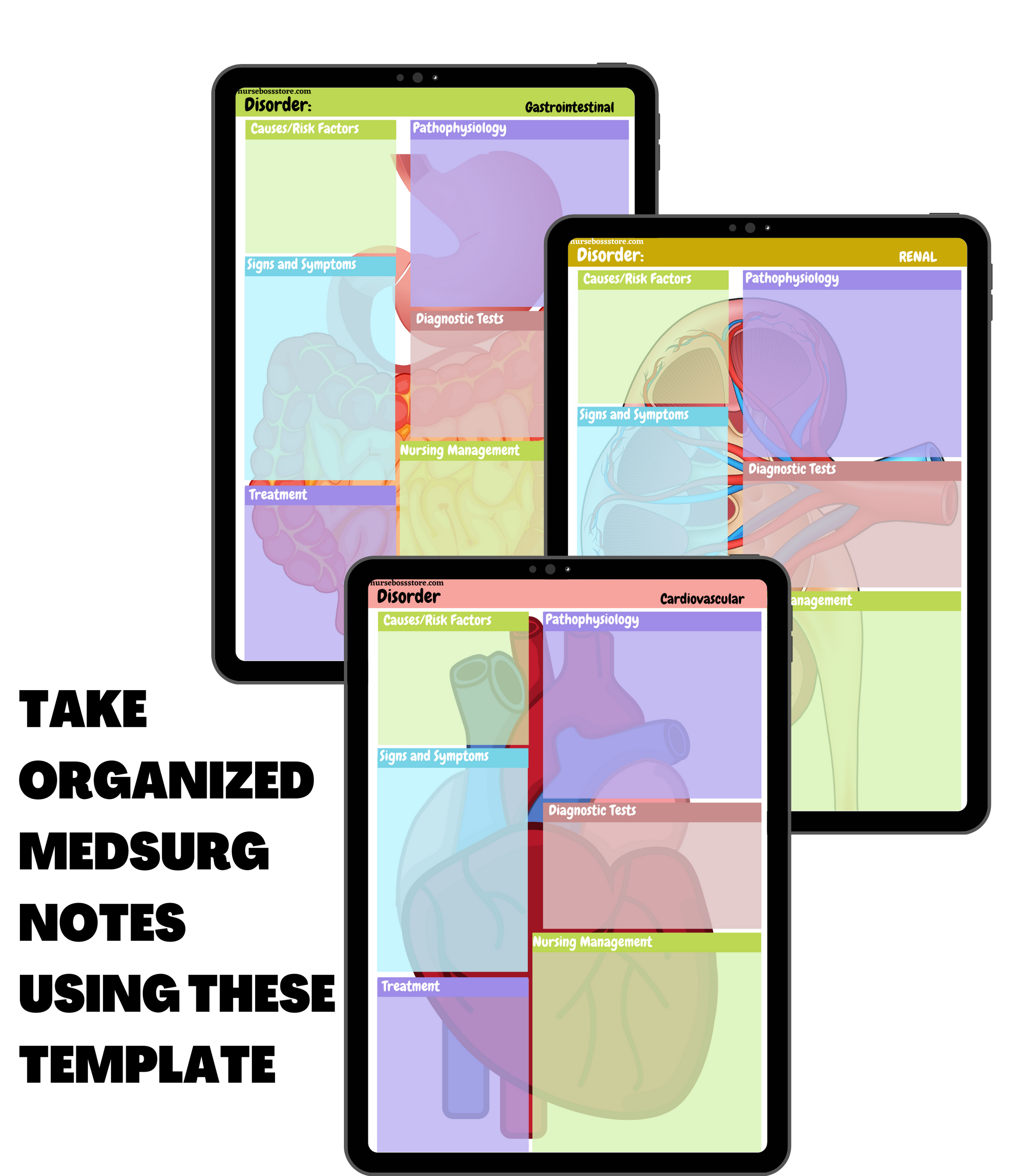 MedSurg Note-Taking Templates (Digital-PDF) – nursebossstore