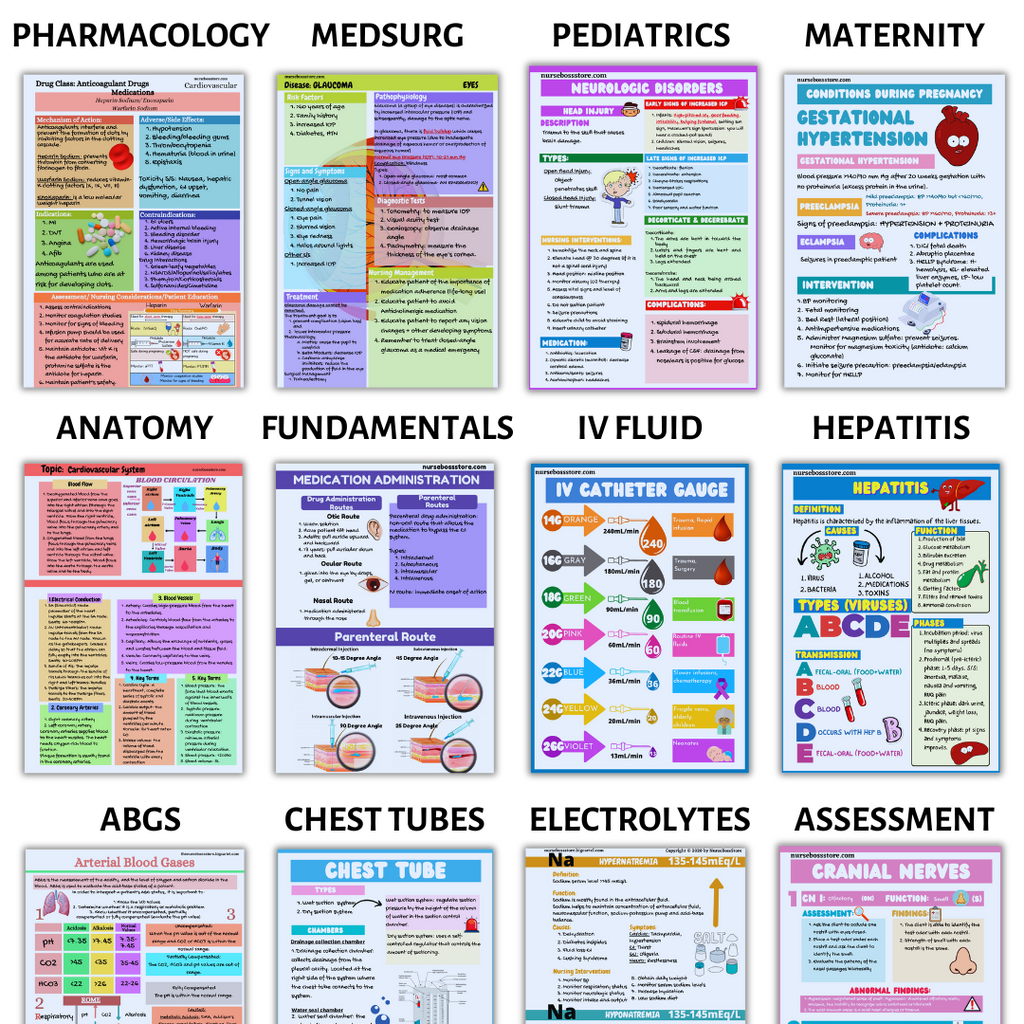 NURSING MEGA BUNDLE-ALL NOTES(Digital-PDF) – nursebossstore
