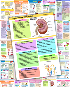Mega Nursing Bundle (Digital-PDF Files ONLY) – nursebossstore