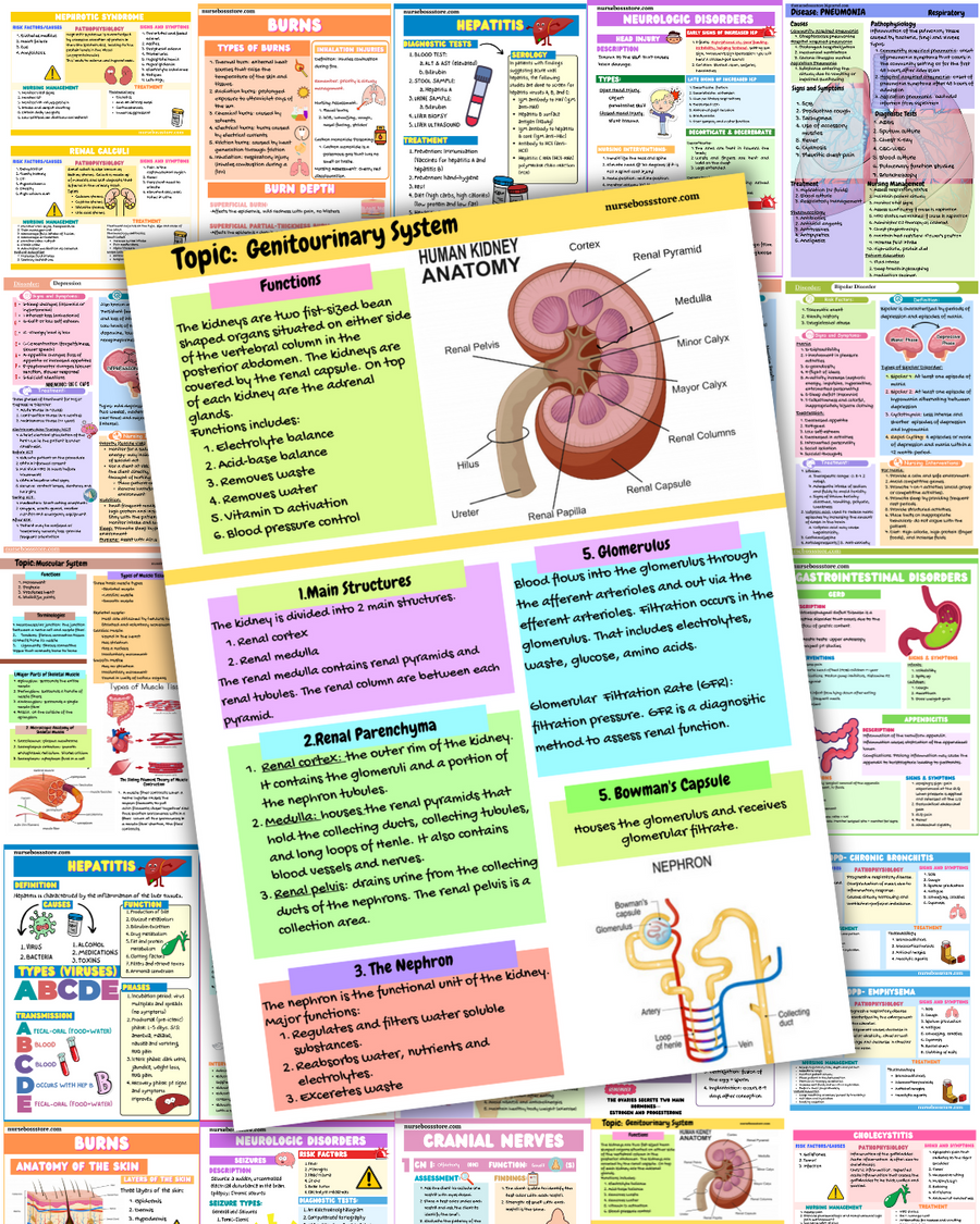 Mega Nursing Bundle (Digital-PDF Files ONLY) – nursebossstore