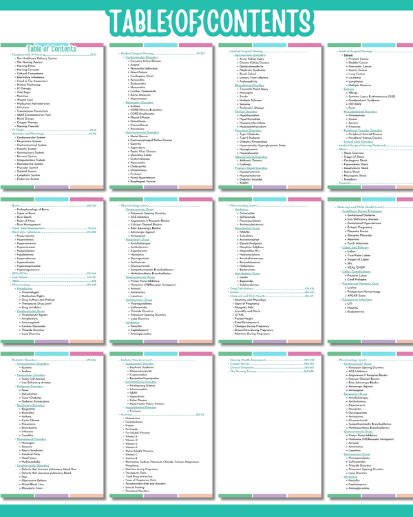 Mega Nursing Bundle (Digital-PDF Files ONLY) – nursebossstore