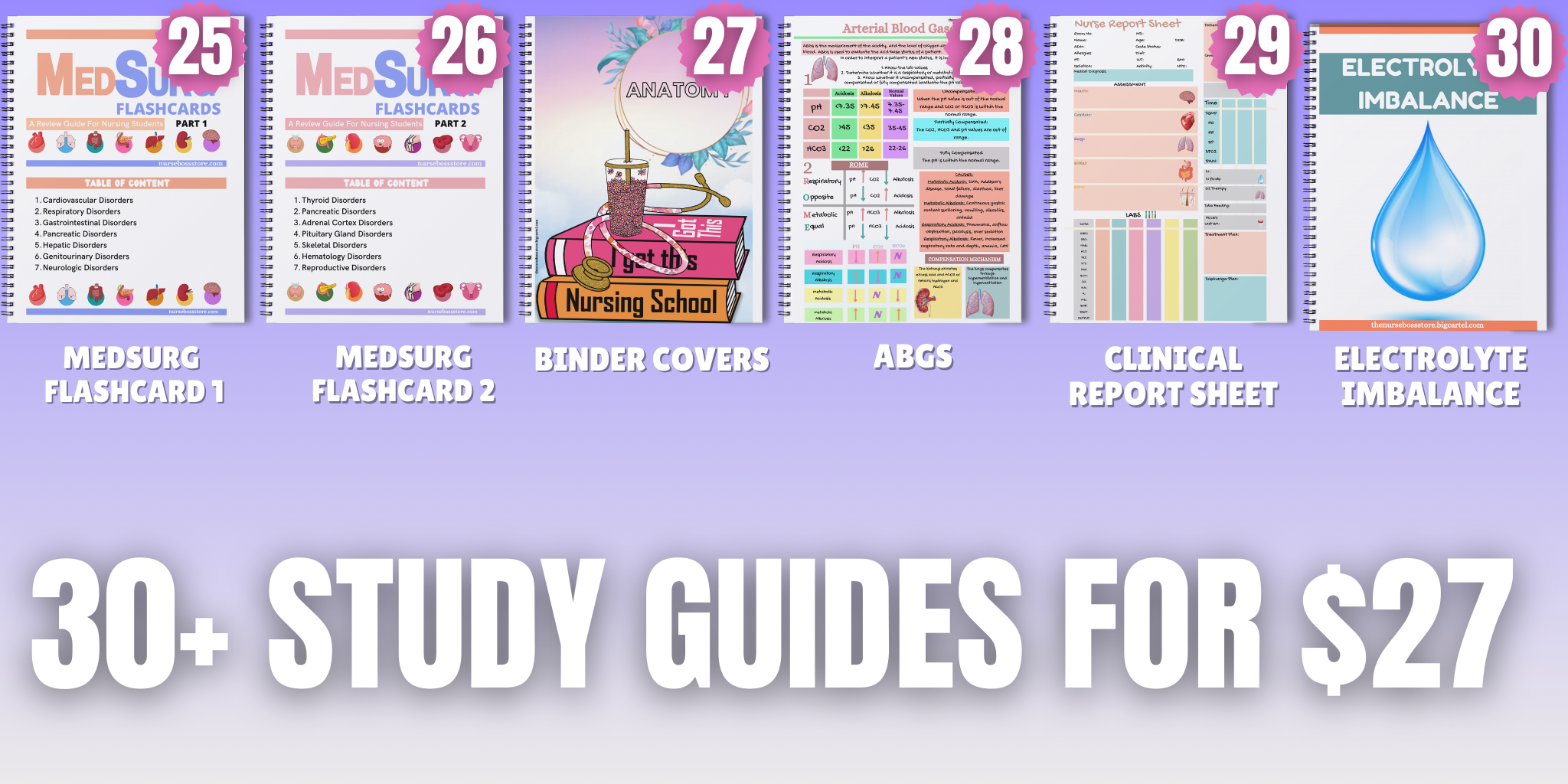 NURSING MEGA BUNDLE-ALL NOTES(Digital-PDF) – nursebossstore