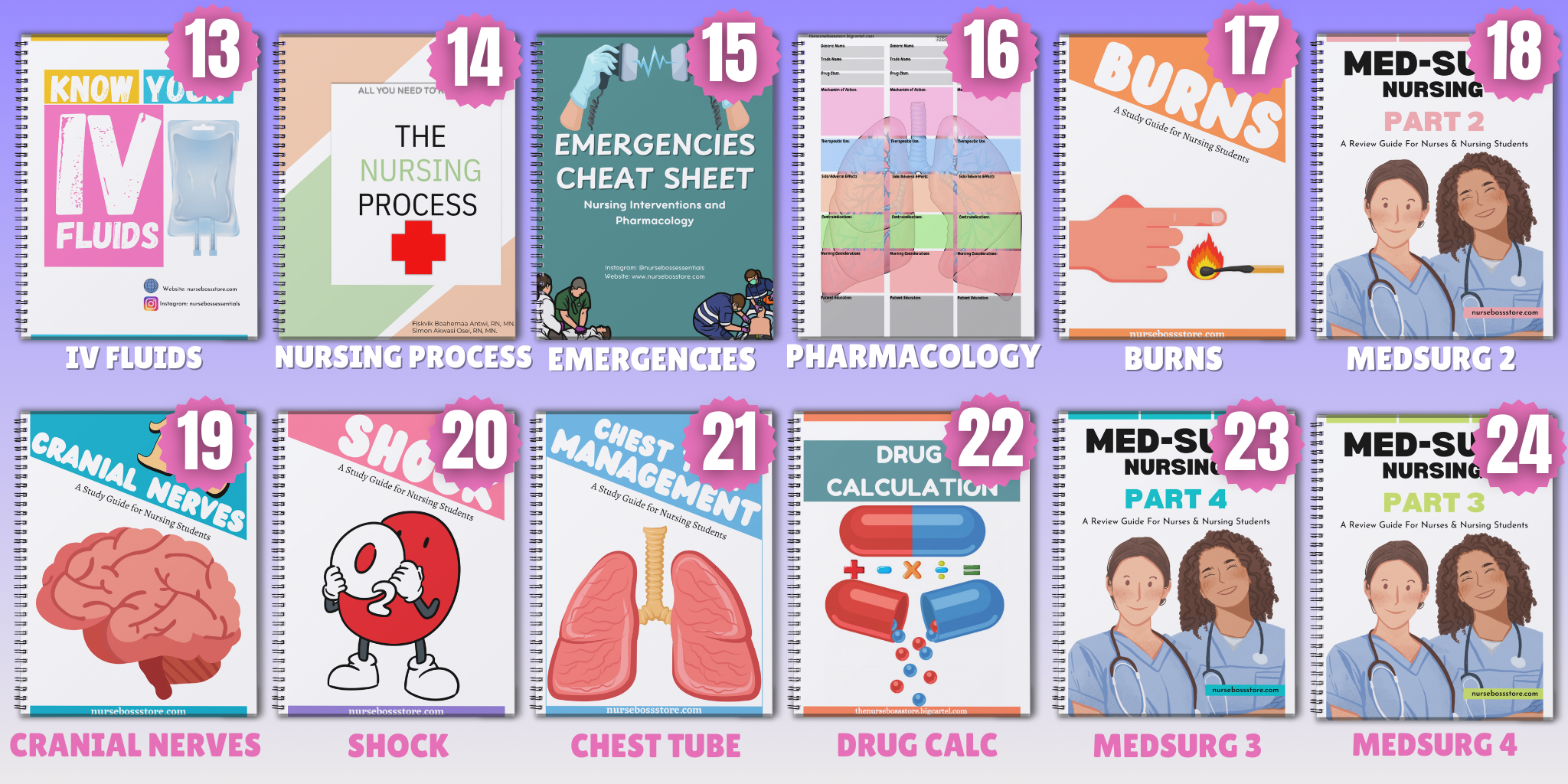 NURSING MEGA BUNDLE-ALL NOTES(Digital-PDF) – nursebossstore