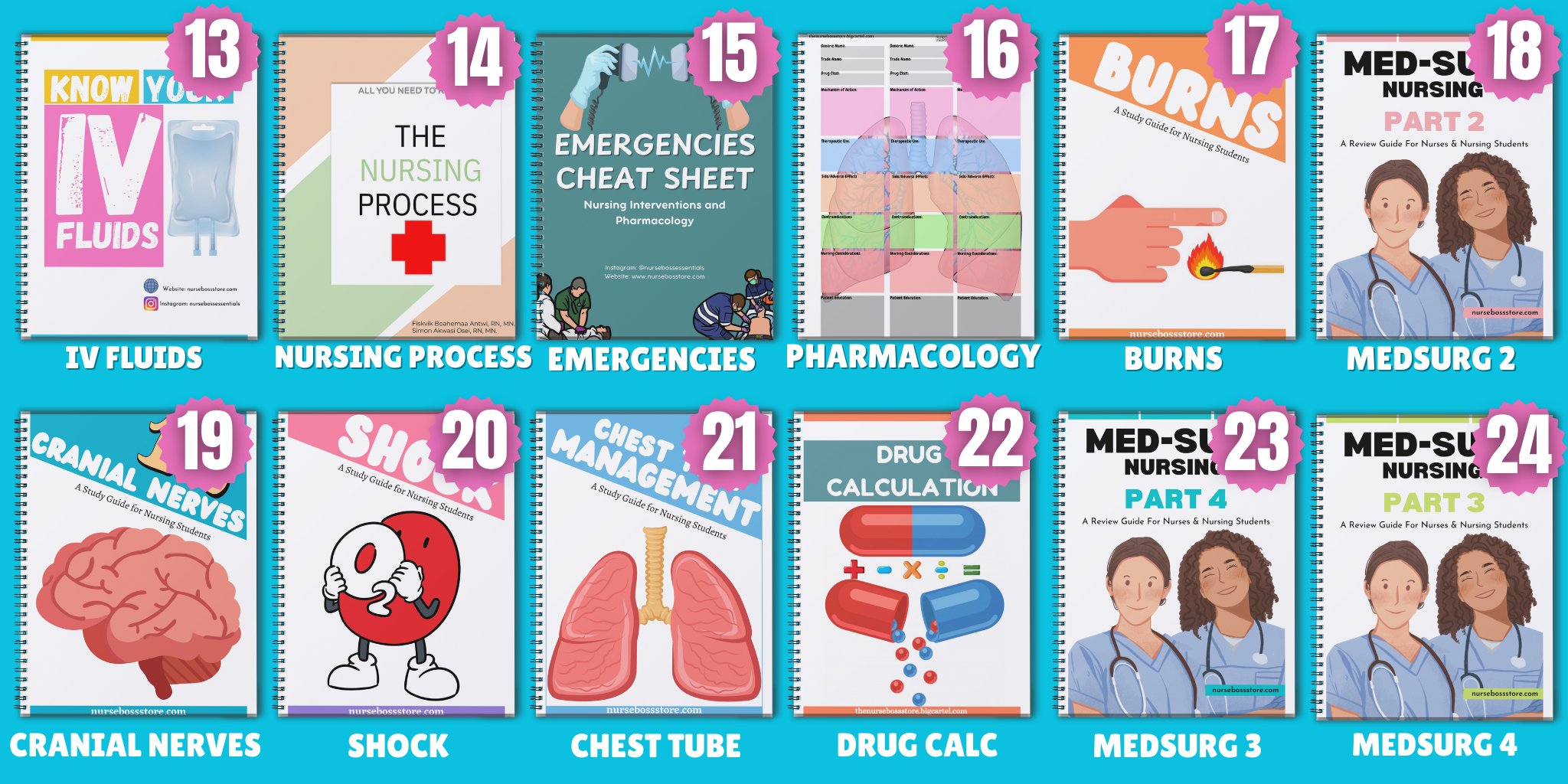 NURSING MEGA BUNDLE (Digital-PDF) – nursebossstore