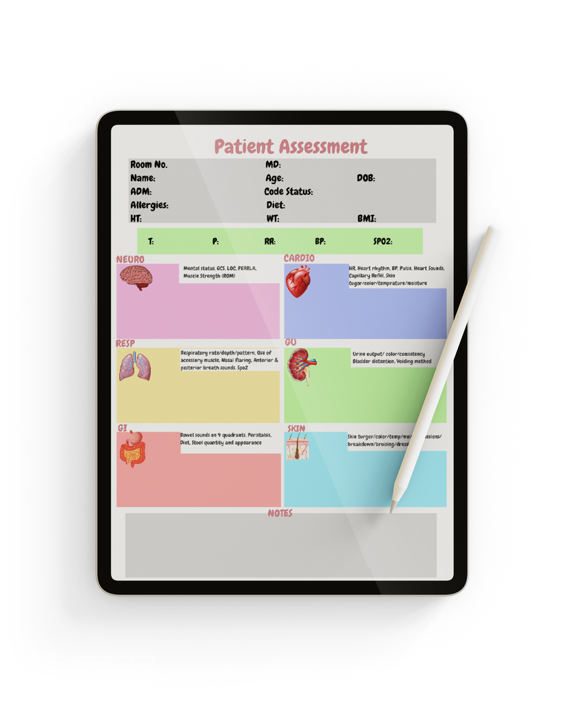 Patient Assessment and Care Plan (Digital-PDF) – nursebossstore