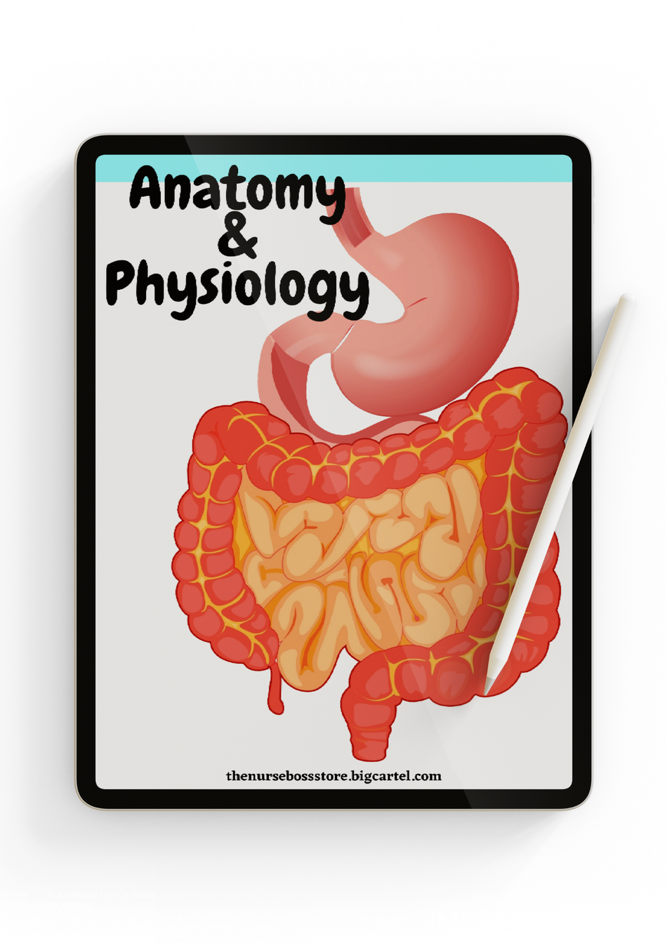 Anatomy Note Template (DIGITAL-PDF) – nursebossstore