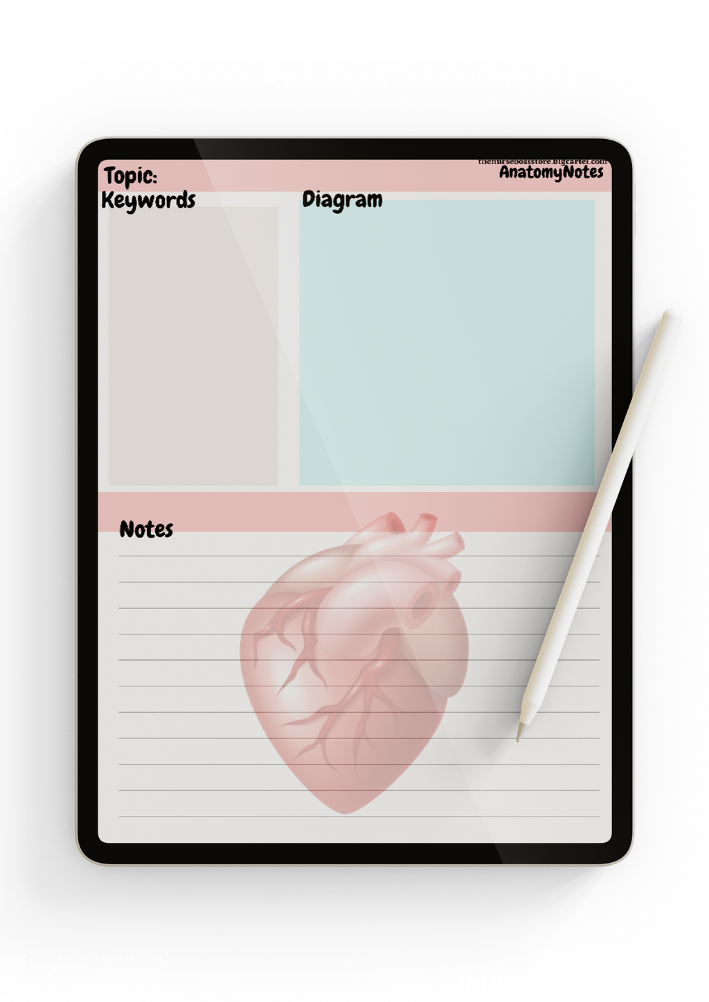 Anatomy Note Template (DIGITAL-PDF) – nursebossstore
